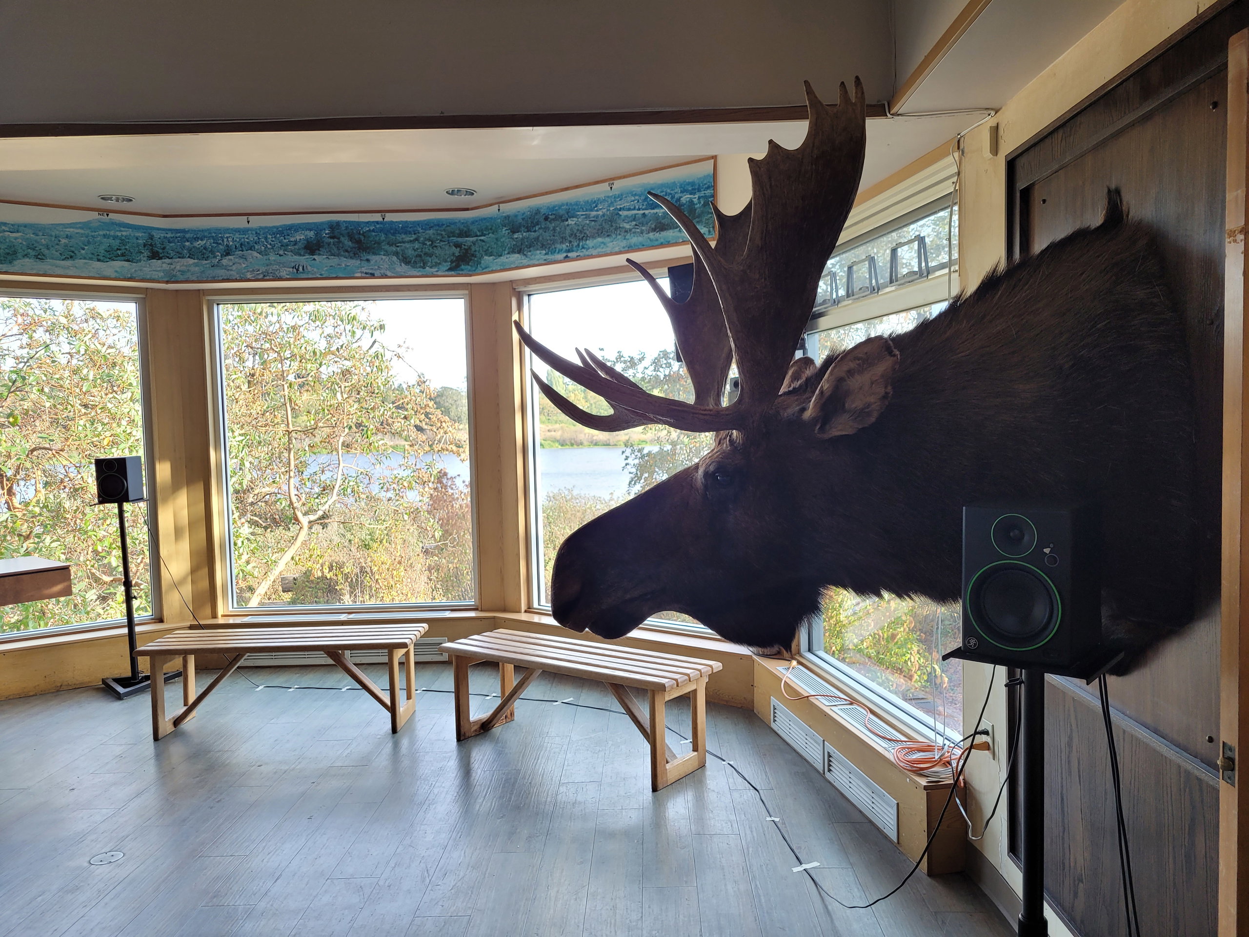 Catalytic Endeavours: How Culture Days Inspired Me to Explore New ...
