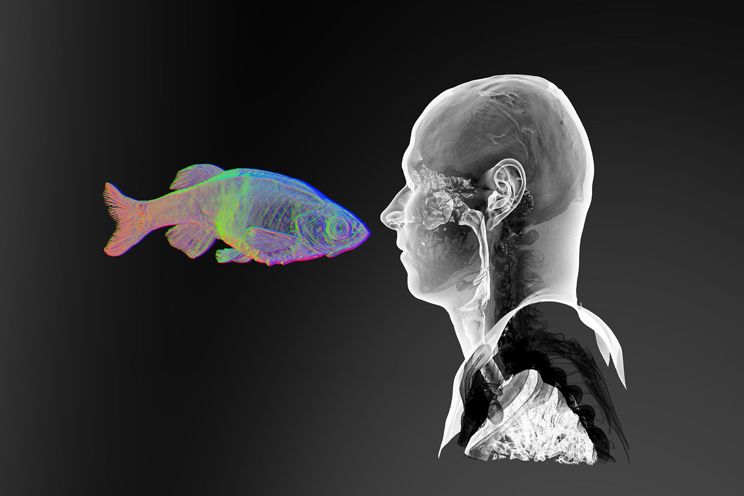 “People are Finally Listening”–Indigenous Animation Rises Up – Chris ...