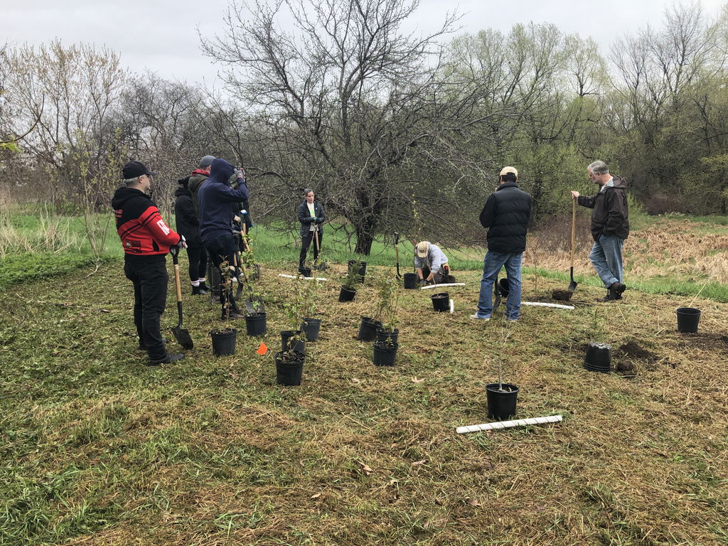 Langstaff Park Tree Planting Event | Culture Days 2025