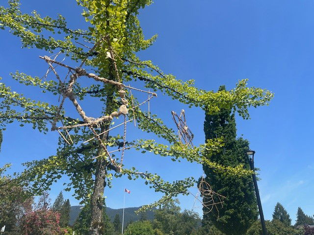 North Vancouver Recreation & Culture Hub | Culture Days 2025