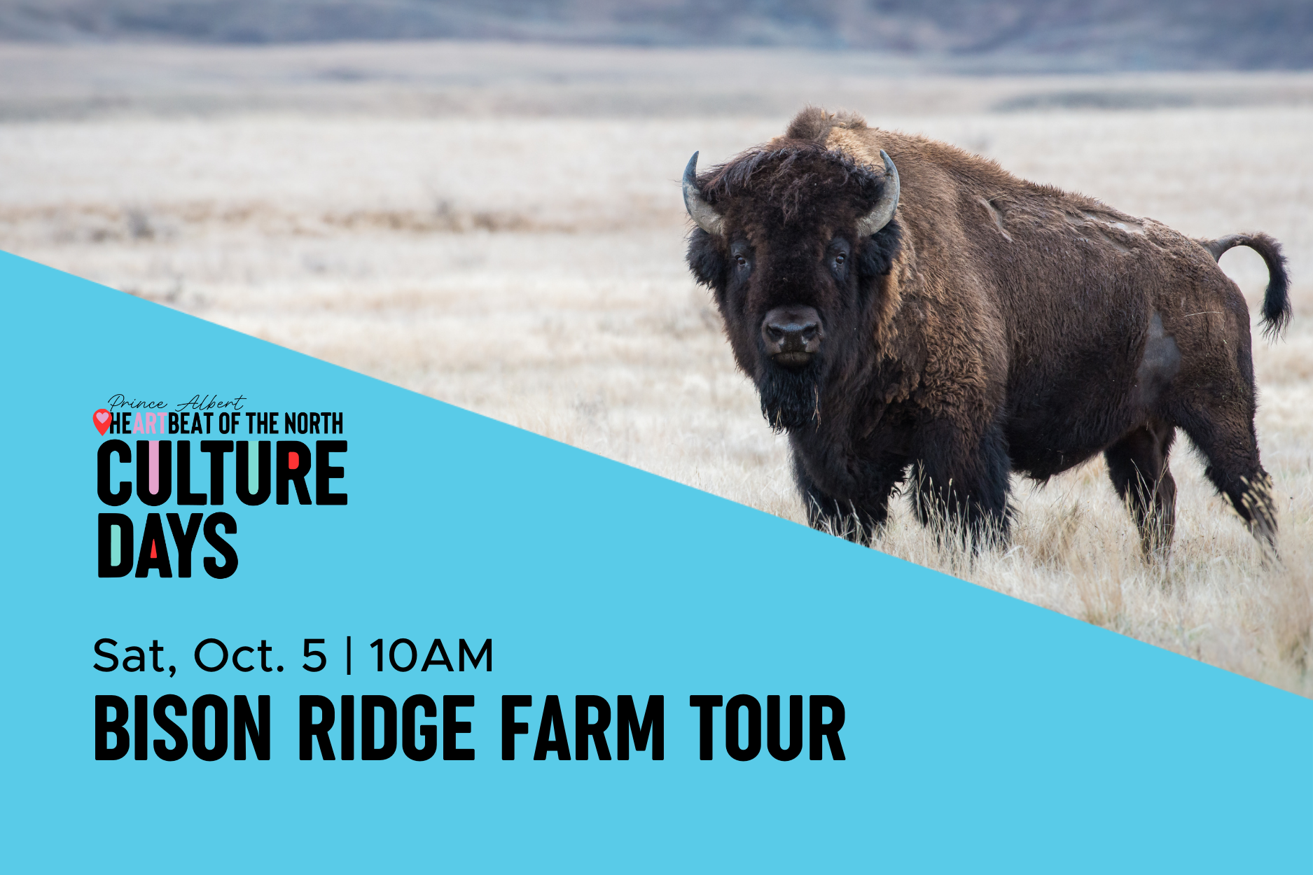 Prince Albert Culture Days - Heartbeat of the North | Culture Days 2024