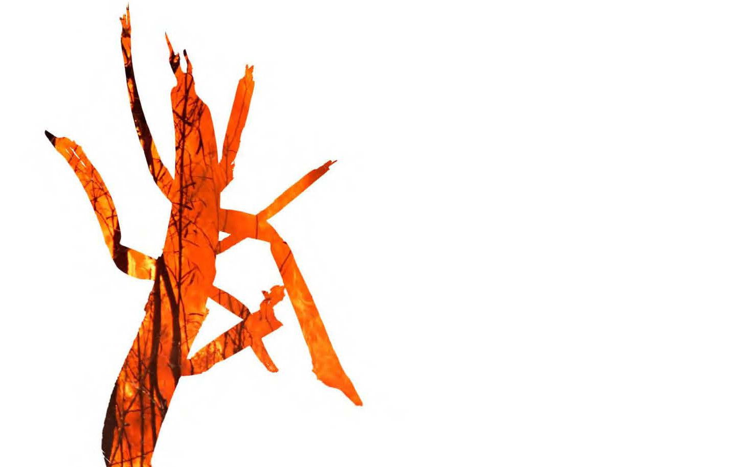 Fire Cycle by Jonathan S Green | Culture Days 2022