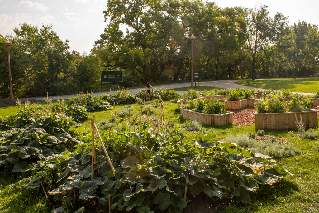 Anything for a Breeze - Cool Gardens 2025 | Culture Days 2025