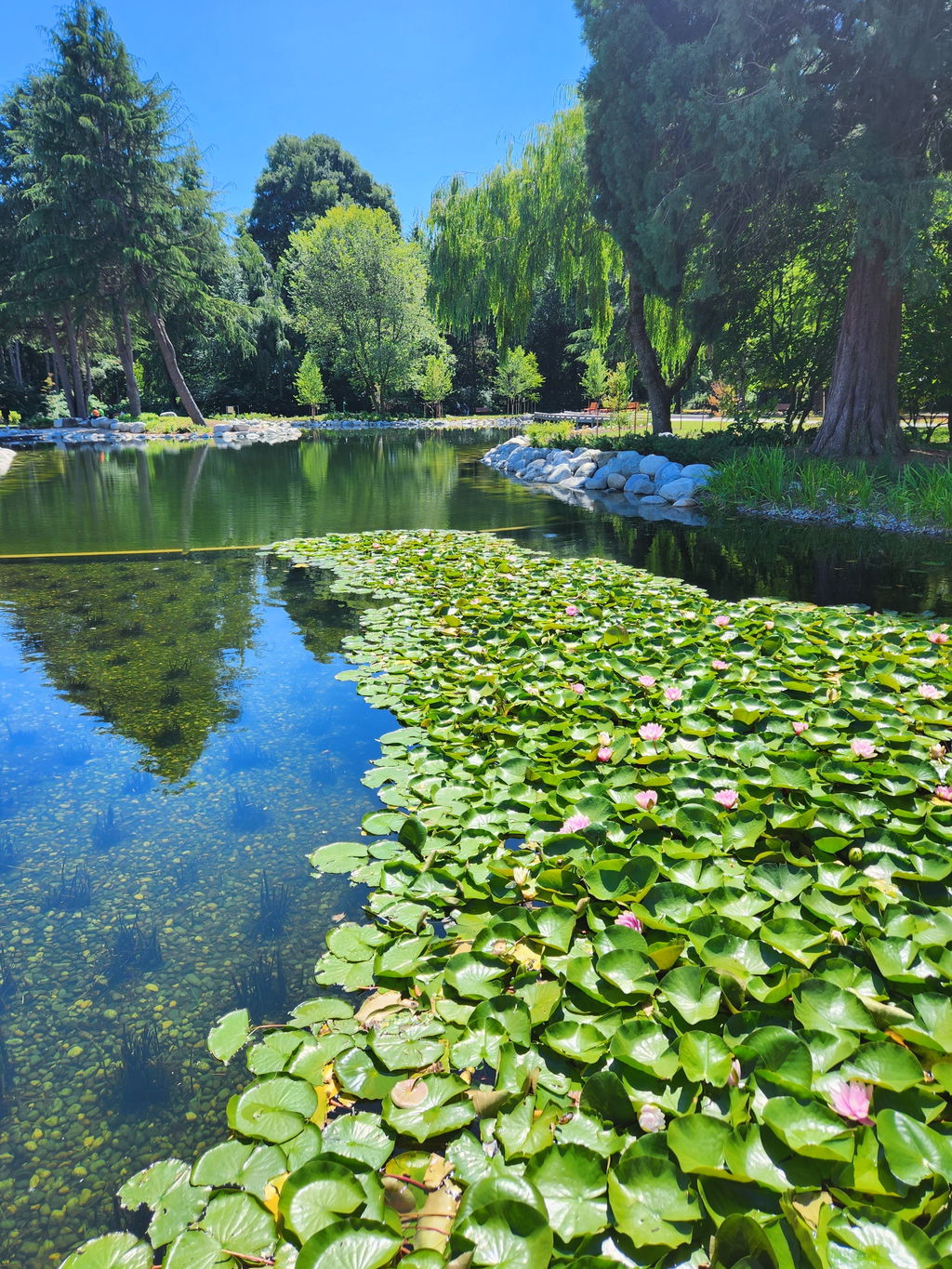 Botanical Nature Walk | Culture Days 2023